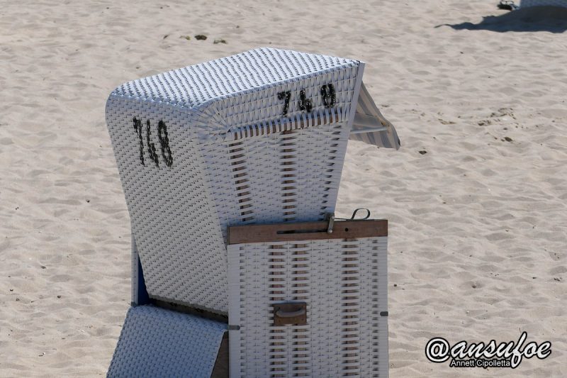 {Sylt} Hörnum Seehunde + Odde (Teil 6) – ansufoes Tagebuch